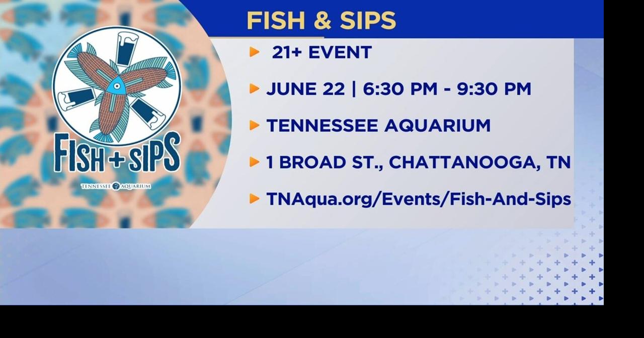 3 Plus Your Community- Tennessee Aquarium | Local 3 Plus You ...