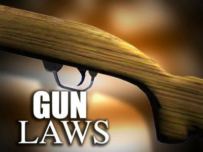 Fight over gun bill puts Tennessee GOP leaders in crossfire | What's ...