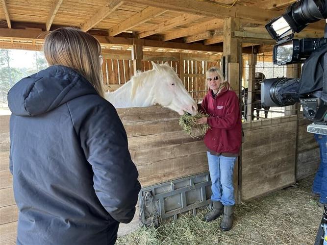 TMMA Farms and Sanctuary Annual Event for Animal Rescue | Local News ...