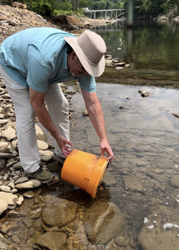 TWRA and Rep. Jeremy Faison Stock 10,000 Walleye in Pigeon River ...