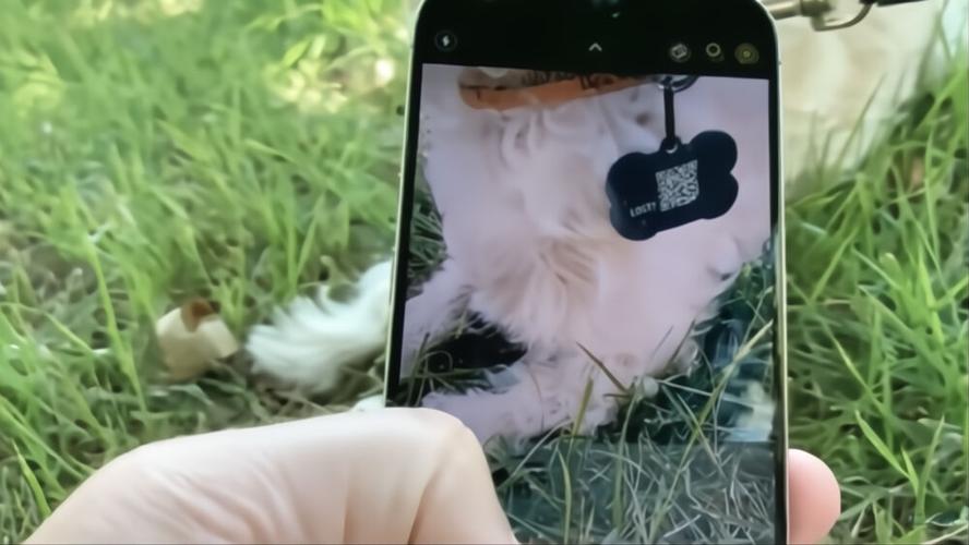 WHAT THE TECH? Collar tags that use QR codes to help reunite lost pets ...
