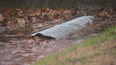 3 ON YOUR SIDE: Soddy-Daisy resident claims clogged ditches creating ...