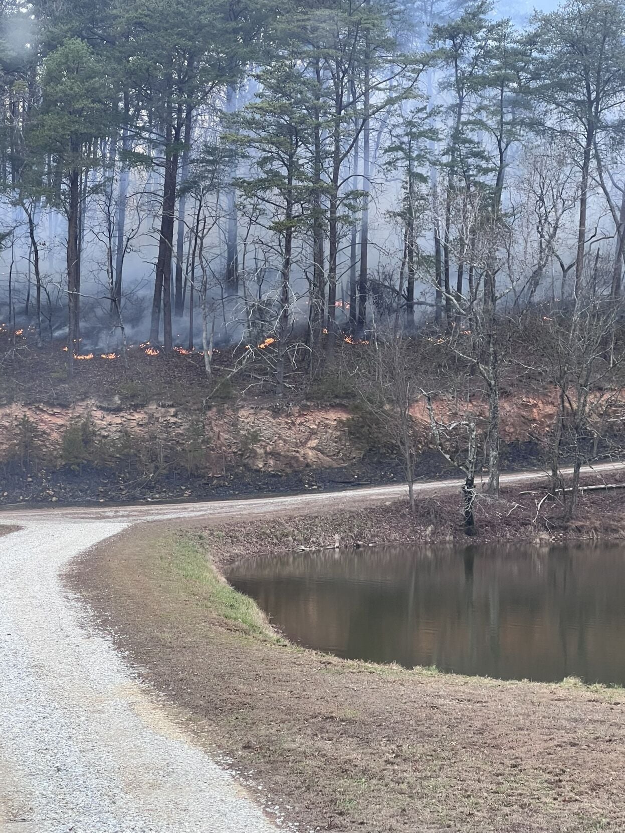 Georgia Forestry Commission Updates on Chatsworth Fire | Local News ...