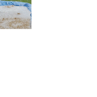 New farm attraction and 'Mud Puddle' opens in North Georgia | Local ...