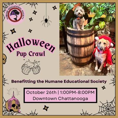 Halloween Pup Crawl Tickets Available Now! | Local News | local3news.com
