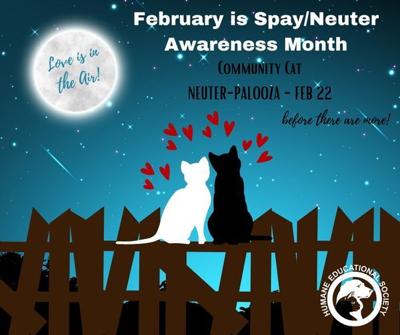 HES to host event for Spay/Neuter Awareness Month | Local News ...