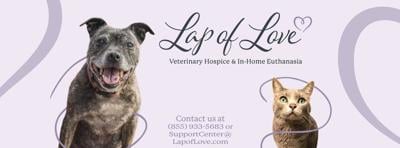 'Lap of Love' provides Veterinary Hospice Care in the Scenic City ...