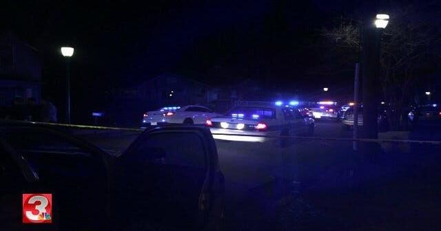 Autopsy says gang member and driver killed by passenger in backseat ...