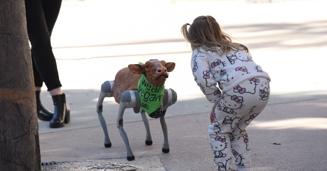 AI-Powered Calf Robot "Charli XC Cow" Raises Awareness about Cruelty of ...