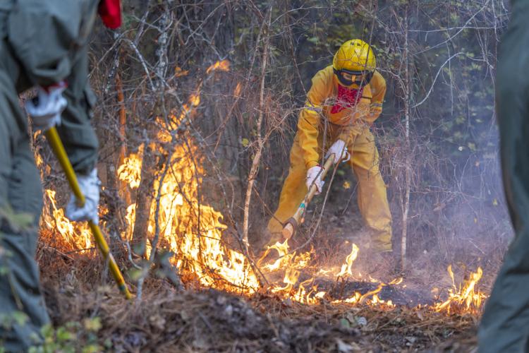 Prescribed Burns for Biodiversity at Berry College | Local News ...