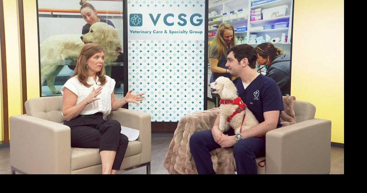 3 Plus Your Pets- VCSG | Local 3 Plus You | local3news.com