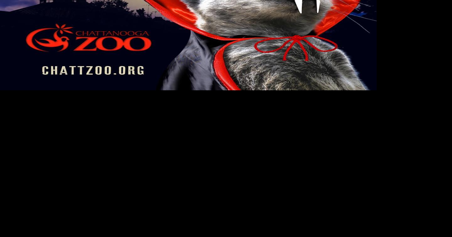The Chattanooga Zoo is getting spooky this weekend | Local News ...