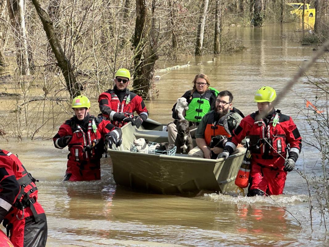 UPDATE: Crews rescue 10 people, 14 dogs after homeless encampment ...