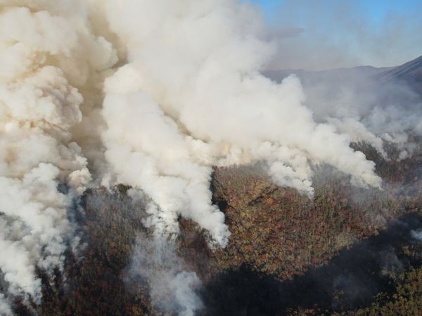 UPDATE: Cherokee Co. wildfire scorches more than 1,335 acres of land ...