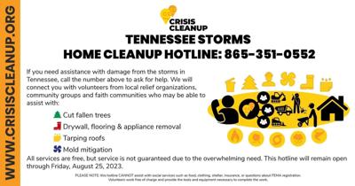 Rhea County launches temporary storm cleanup hotline | Local News ...