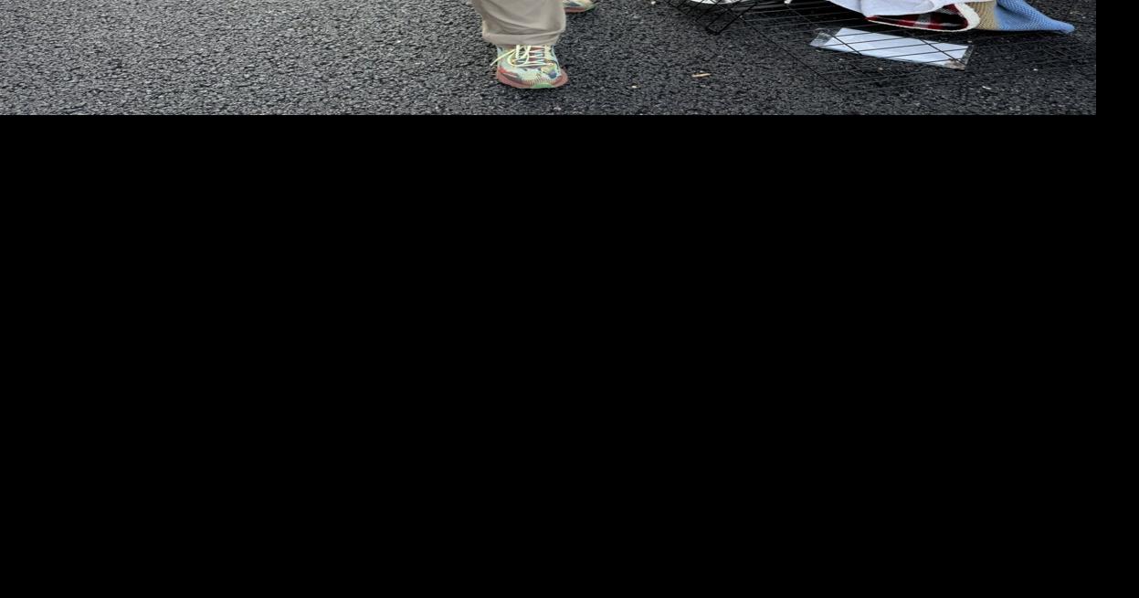 Fatal crash involving Georgia animal shelter van leaves several people ...