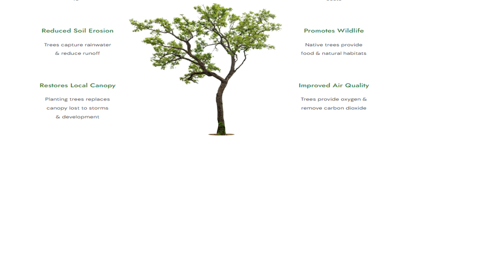 EPB Energy and Reflection Riding Free Tree Giveaway | Local News ...