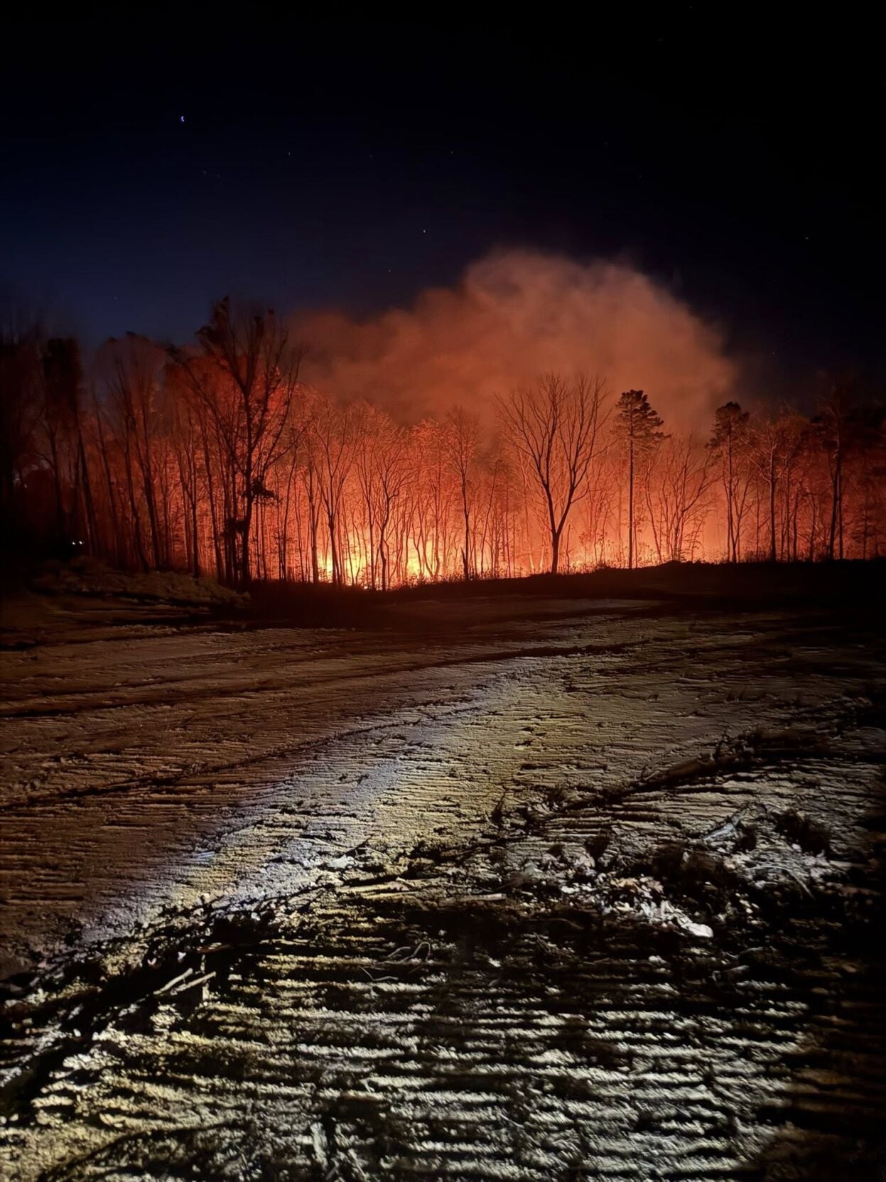 Brush Fire Extinguished by Firefighters | Local News | local3news.com