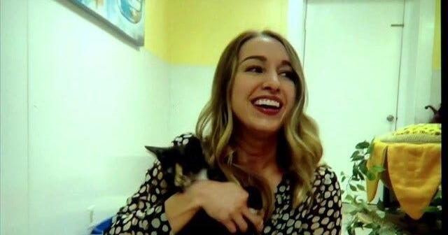 3 Plus Your Pets- Pet Placement Center | | local3news.com