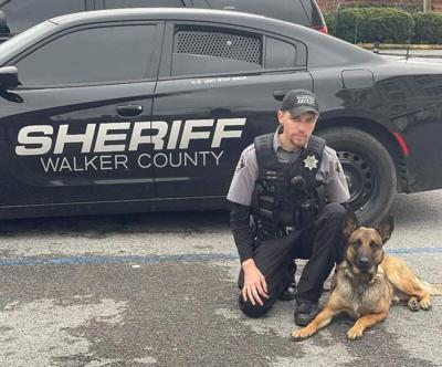 Walker County Sheriff's Office welcome new K9 Deputy 'Rudie' | Local ...