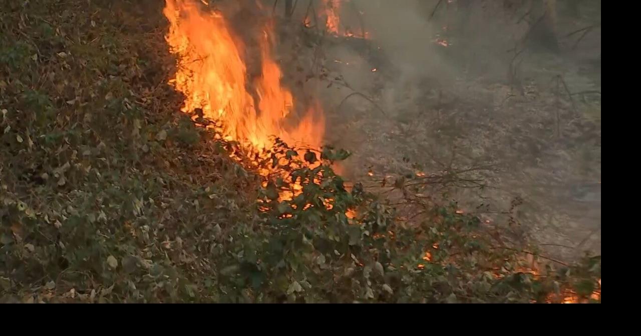 Dade County officials implement 30-day burn ban after nearly 500 acres ...