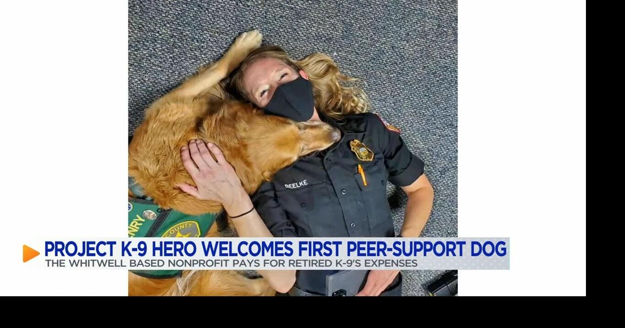 Project K-9 Hero welcomes its first peer-support dog | Local News ...