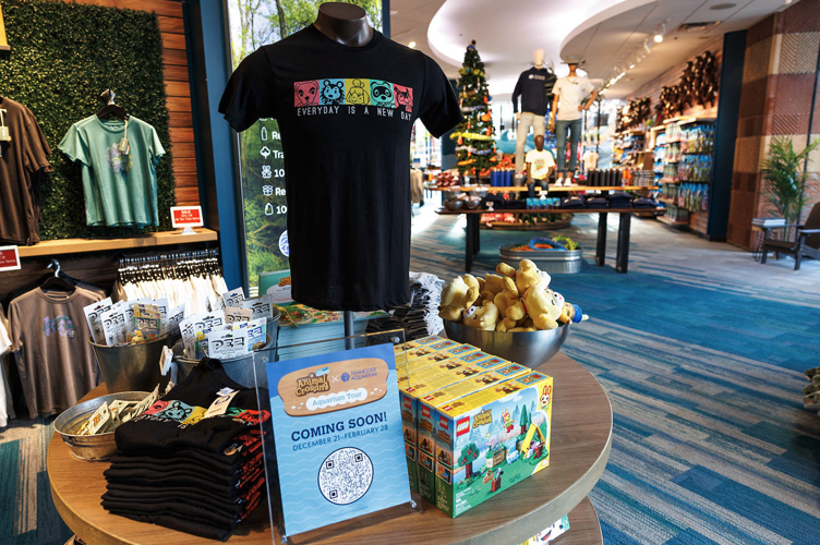 Animal Crossing: New Horizons Aquarium Tour at TN Aquarium | Local News ...