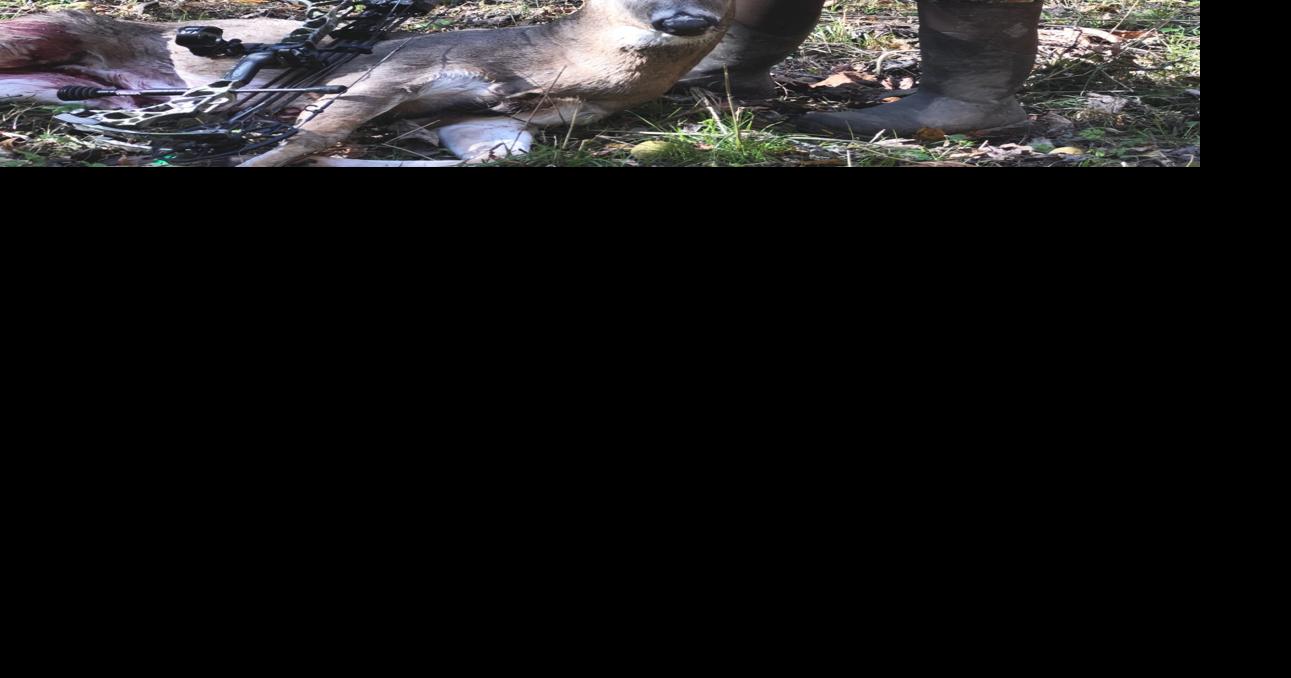 Photos: Readers' deer photos 2021 | Multimedia | loganbanner.com