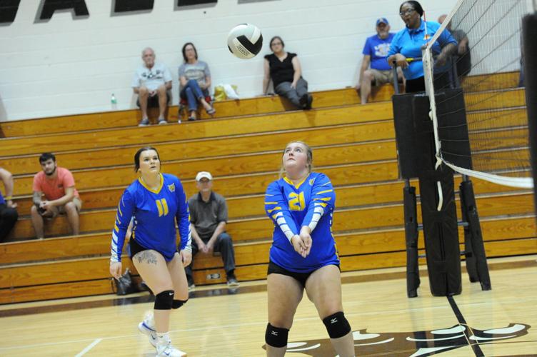 CRHS, Logan volleyball players earn All-Cardinal Conference nods ...