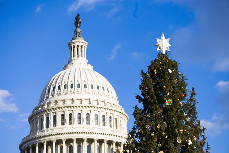 West Virginia student gets to visit US Capitol, light Christmas tree ...