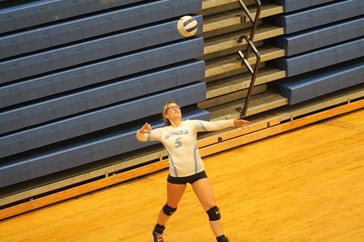 Logan volleyball defeats Mingo Central, 3-1 | Sports | loganbanner.com