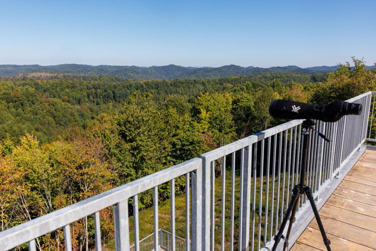 Elk education center and viewing tower opens at Tomblin WMA | News ...
