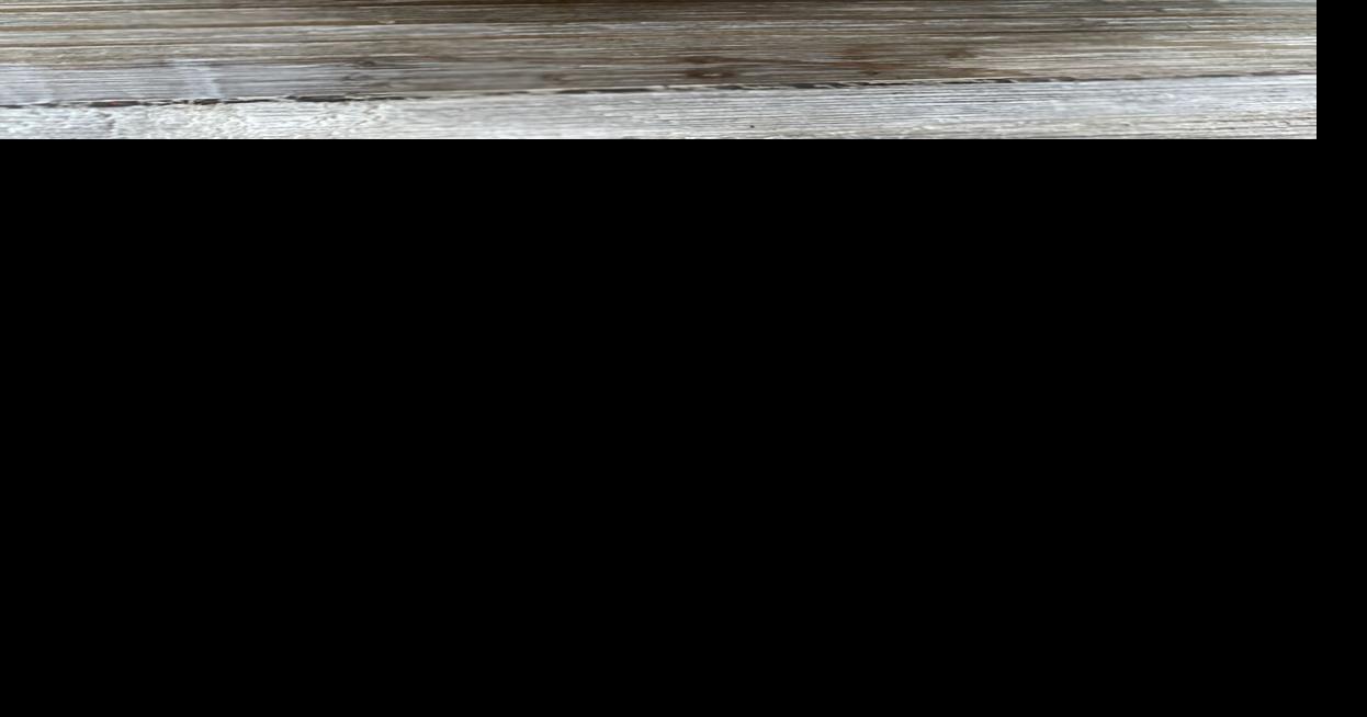 Janet McCormick: Shake things up with Kung Pao Chicken | Features ...