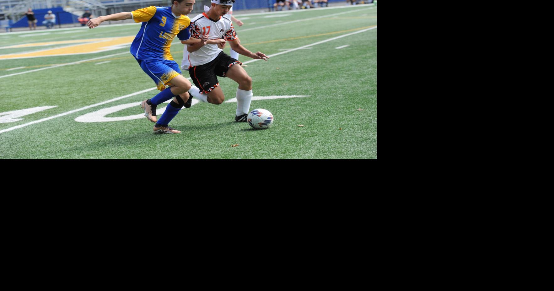Logan boys soccer eyes sectional tourney win this year | Sports ...