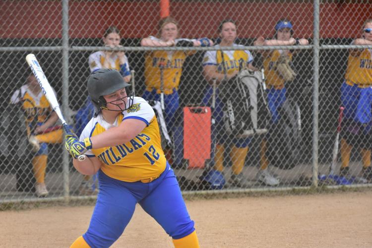 Lady Tigers, Cats earn All-Cardinal Conference nods | Sports ...