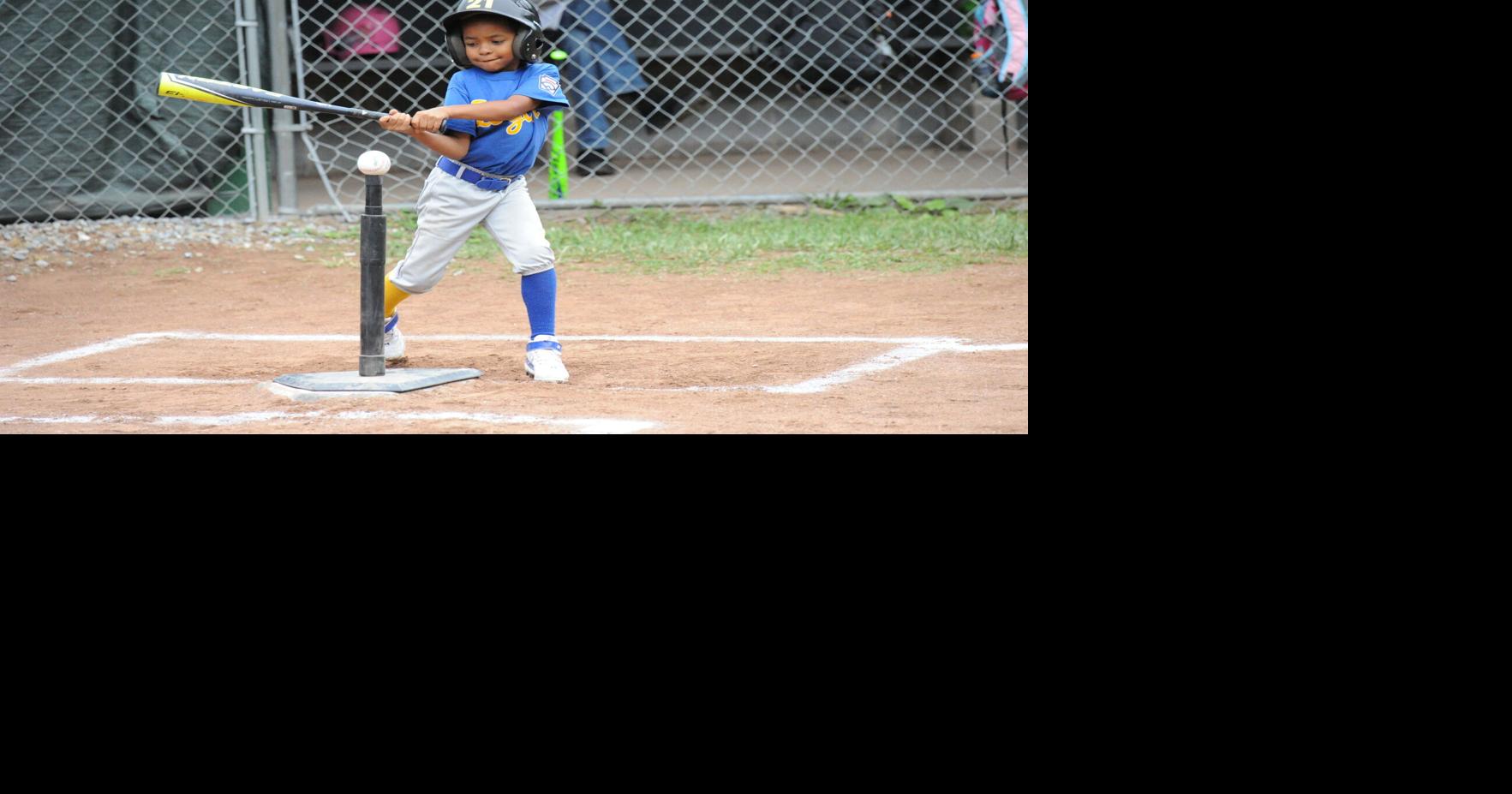 Logan Little League drops tee ball title game to Pineville | Sports ...