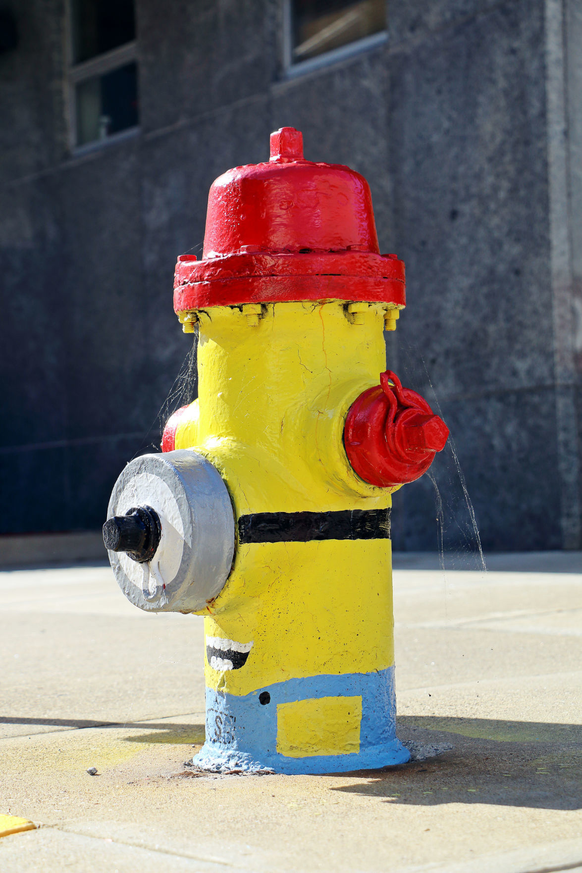 Photos: Painted fire hydrants in Logan | Photos | loganbanner.com