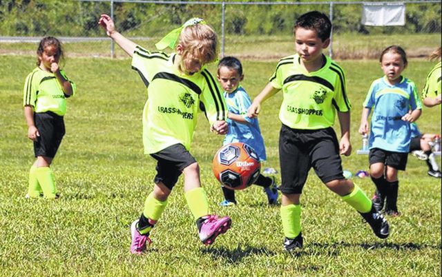 Fall soccer begins | News | loganbanner.com