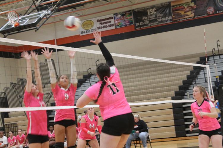 Local teams compete in Chapmanville volleyball tourney | Sports ...