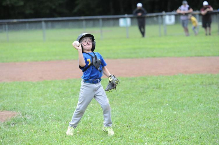 Logan Little League drops tee ball title game to Pineville | Sports ...