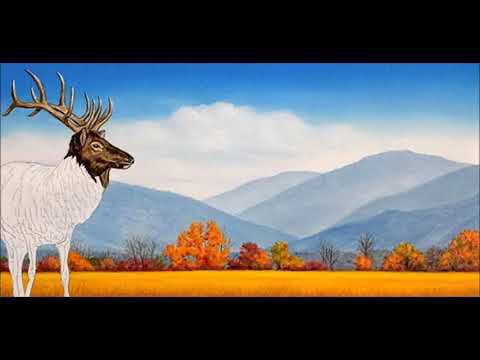 WV's new elk-themed license plate features Mason artist's painting ...