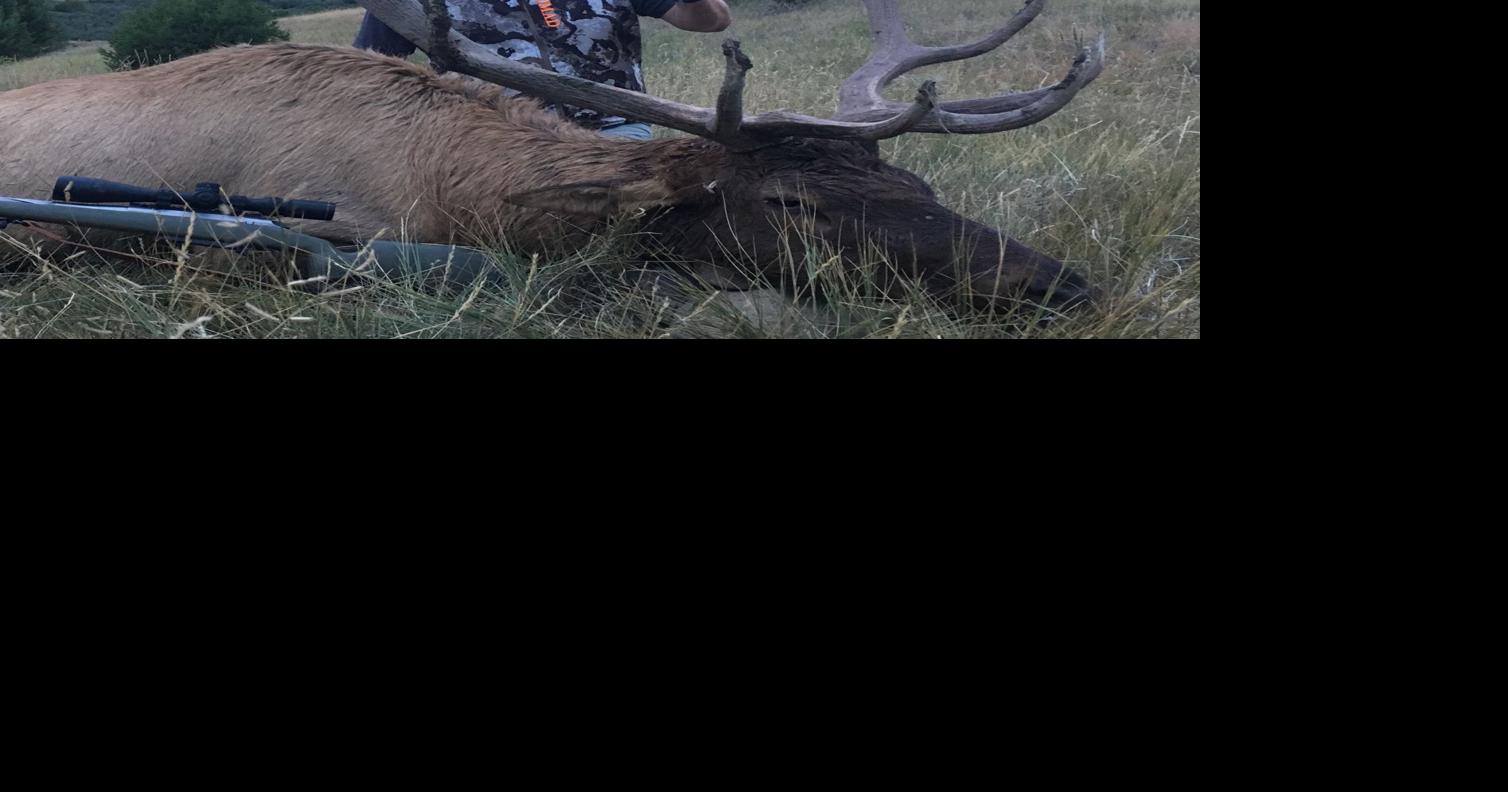 Chris Ellis: Elk hunting opportunities close to home | News ...