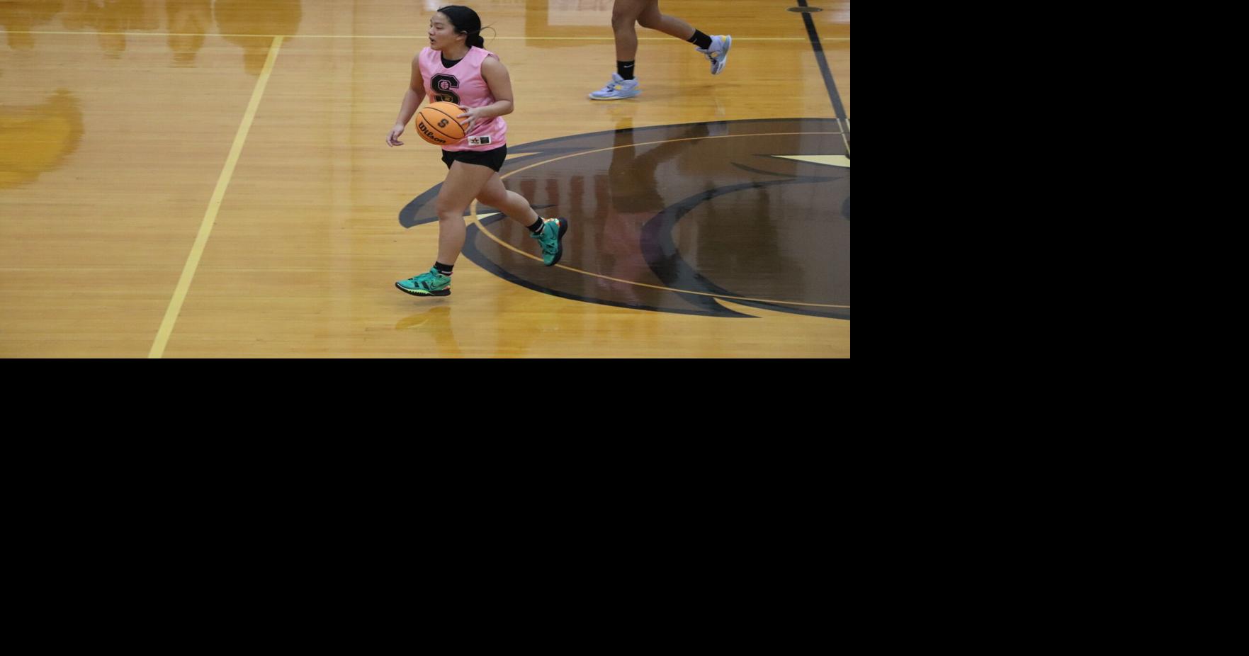 Lady Hawks look for improvement this season | Sports | loganbanner.com