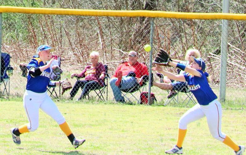 2021 Logan High School softball preview: Lady Cats hope to return to ...