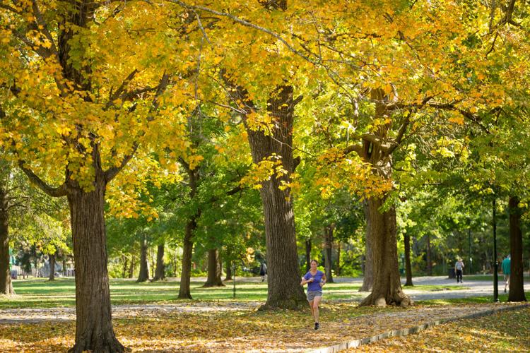 Photos: Fall foliage in Huntington | Multimedia | loganbanner.com