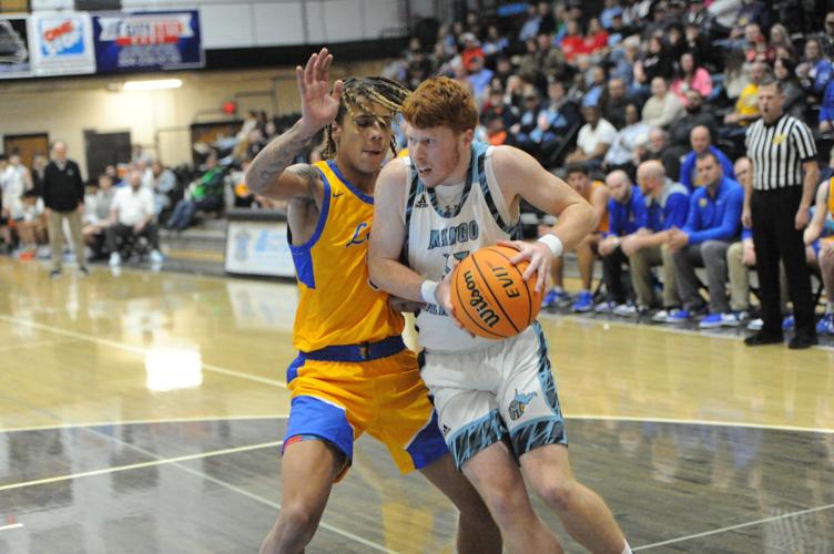 Logan blows past Mingo Central, 82-48 | Sports | loganbanner.com