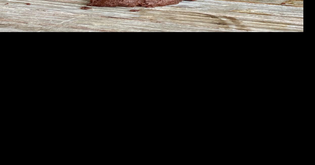 Janet McCormick: Chocolate chocolate chip cookies will be a new ...
