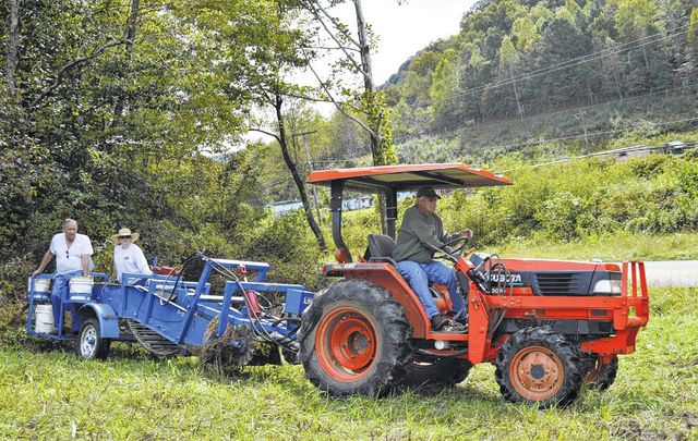 Potato, Po-tat-o | News | loganbanner.com