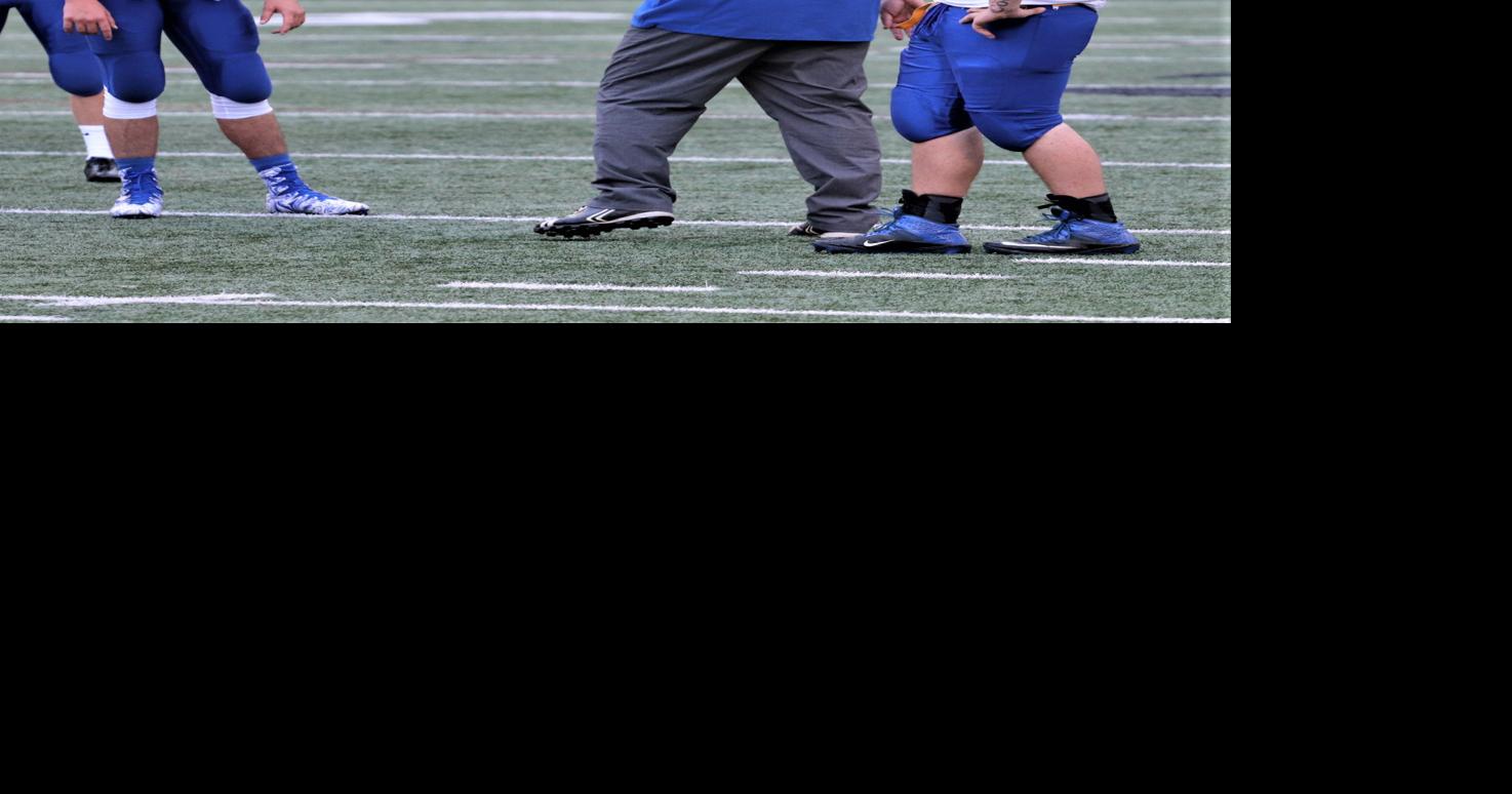 Griffith steps down at VHS; Price takes over football duties | Sport ...