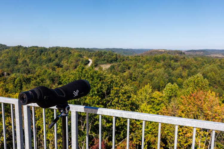Elk education center and viewing tower opens at Tomblin WMA | News ...